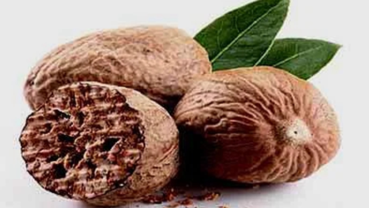 மாசிக்காய்.. மிகப்பெரிய வரப்பிரசாதம்.. கைக் குழந்தைகளை காக்கும் ...