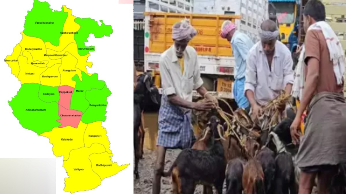 1 ஆடு.. குஷியில் கறிக்கடைக்காரர்கள்.. செவ்வாய்க்கிழமை 'கரிநாள்' வருதே ...