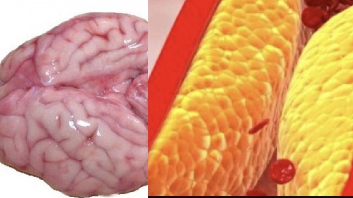 ஆட்டுக்கறி எடுக்கறீங்களா? மட்டனைவிட ஆட்டு "மூளை" பெஸ்ட்.. ஆணின் ...