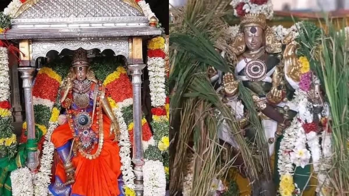 தைப்பூசம்..கதிர் அறுக்கும் மீனாட்சி சுந்தரேஸ்வரர்.. தெப்பத்திருவிழாவை ...