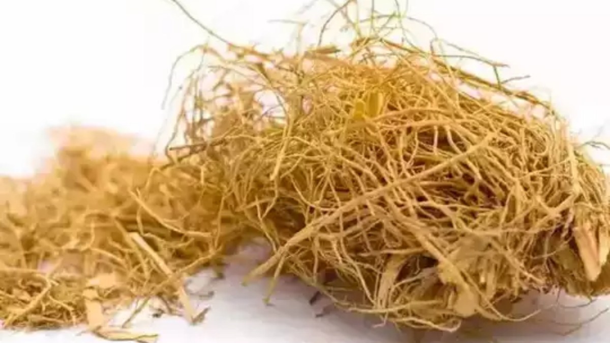 வெற்றி வேர்.. அதுவே வெட்டி வேர்.. சகல சரும நோயை ஓட்டும் மேஜிக் வெட்டி ...