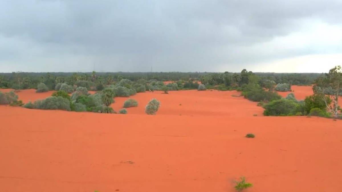 தேரிக்காடு! சிவப்பு கம்பளம் விரித்தாற் போல் மணல் மேடு! தமிழகத்தின் ஒரே ...
