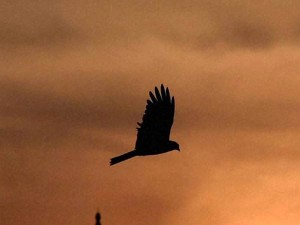 Oneindia tamil News in Tamil - Oneindia tamil Latest news on tamil ...